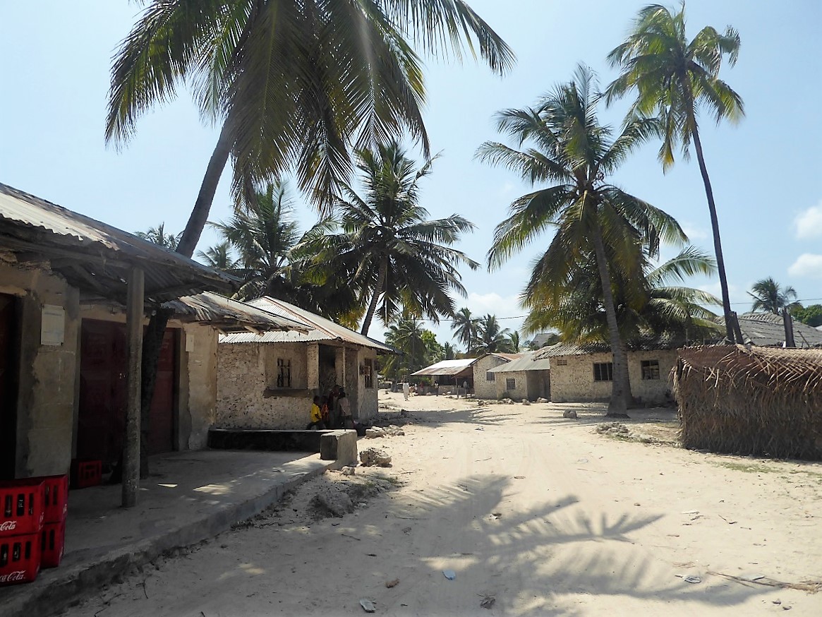 Matemwe Village Tour | Best Village Tour 2023 | Tripsbetter