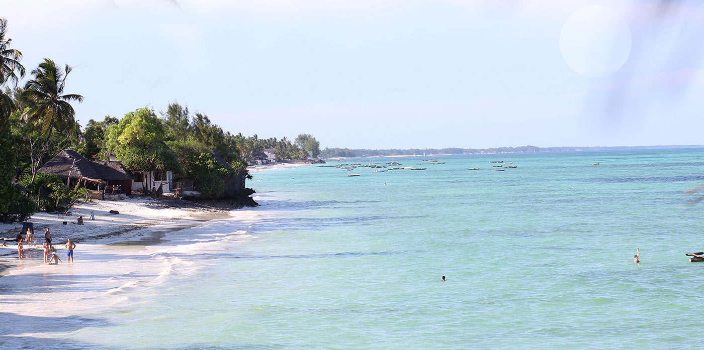 Jambiani Zanzibar | Best Beach In 2023 | Tripsbetter