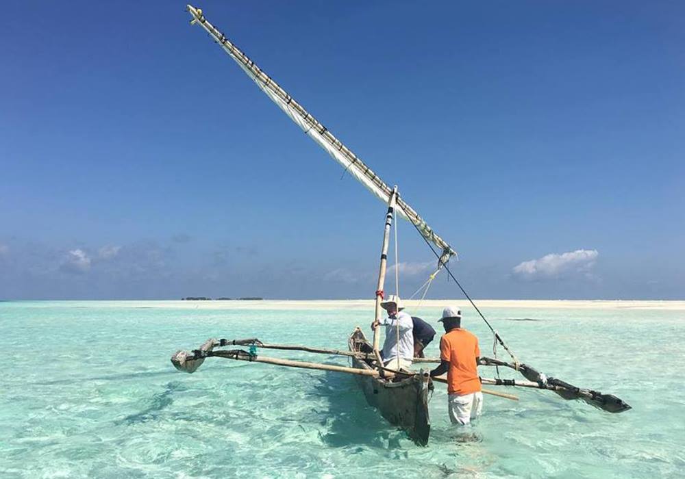 Misali Island Tour | Best Snorkeling In 2023 | Tripsbetter