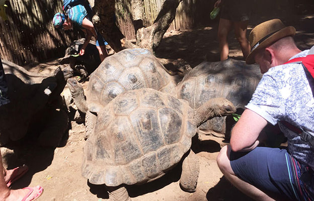 Prison Island Zanzibar | Changuu Island | Tripsbetter.com